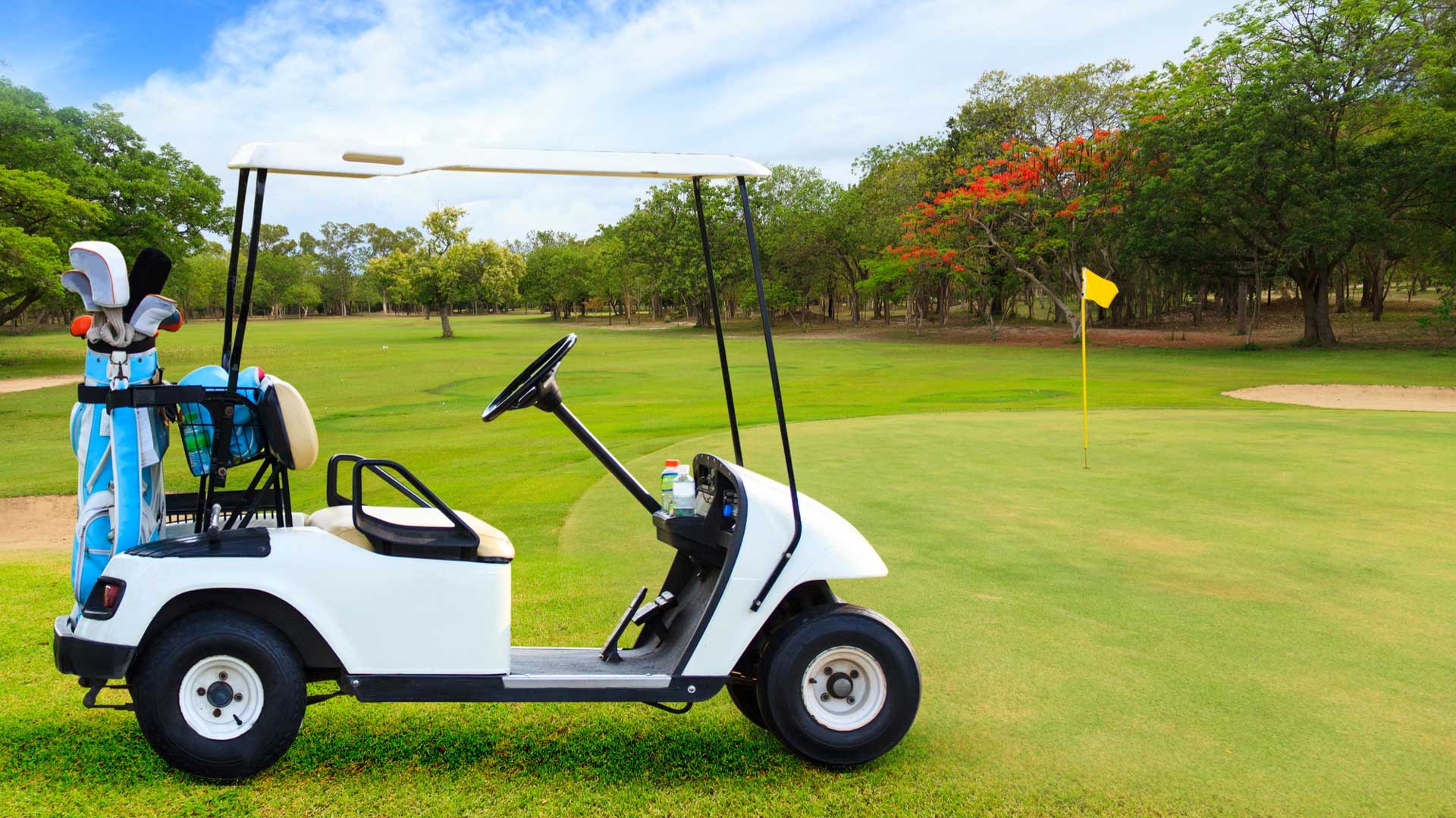 Why Do You Need License To Drive a Golf Cart? A Complete Guide - Otheletes